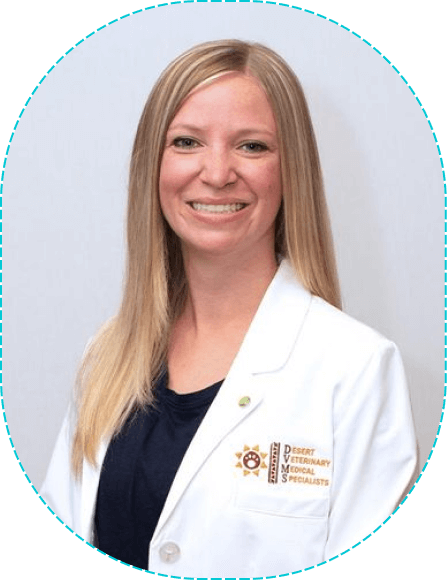Top Rated Veterinary Specialists in Peoria, AZ I Desert Veterinary ...