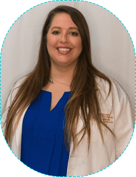 Top Rated Veterinary Specialists in Peoria, AZ I Desert Veterinary Medical Specialists