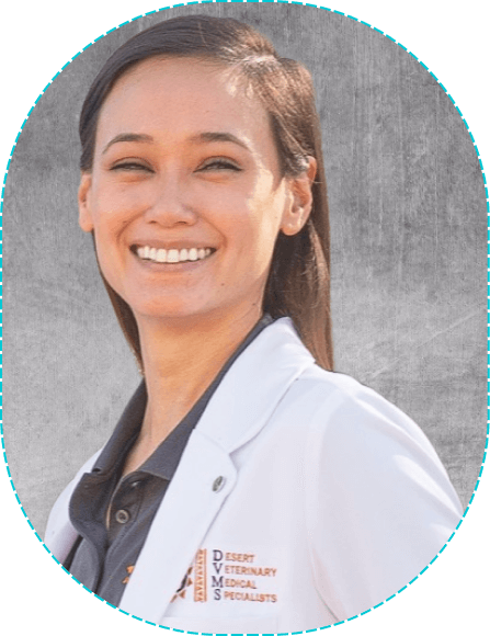 Top Rated Veterinary Specialists in Peoria, AZ I Desert Veterinary ...